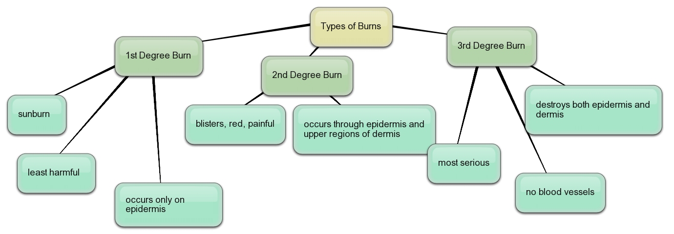 ashley's blog: Concept map